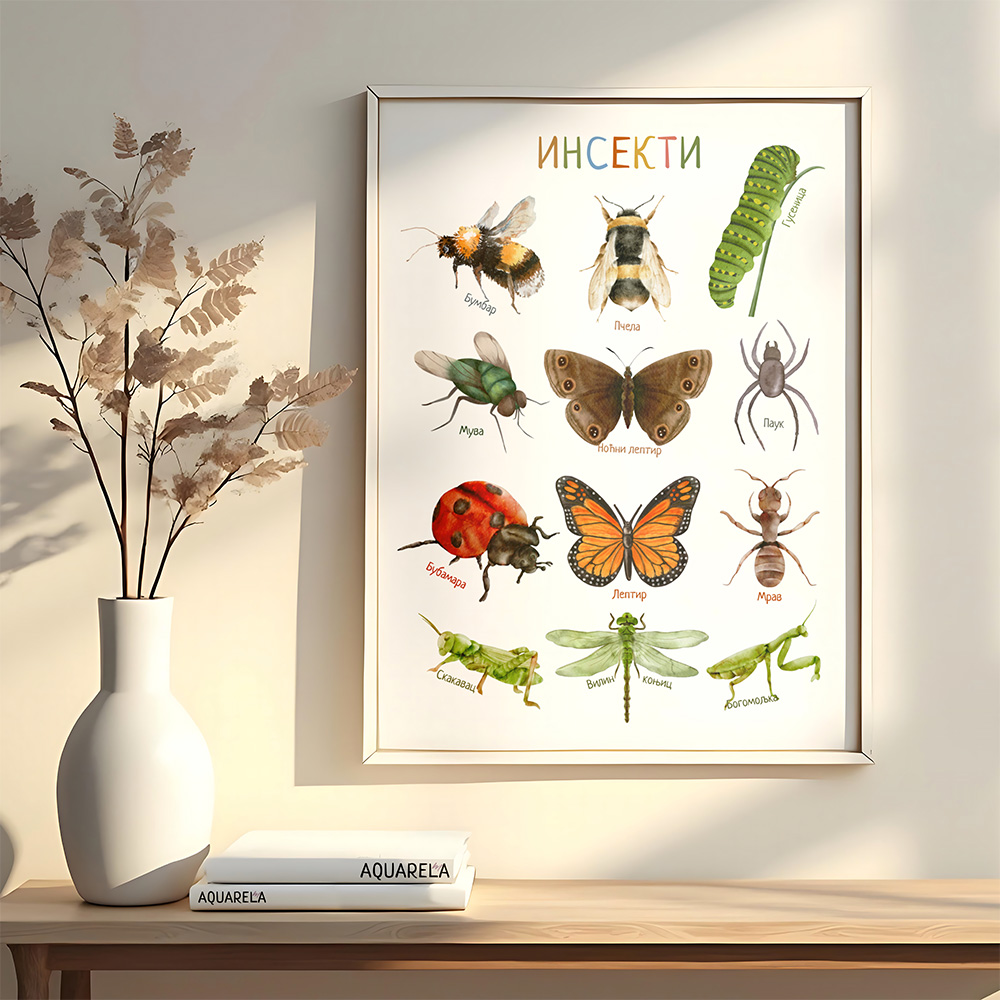 Insekti - Edukativni poster - Aquarela