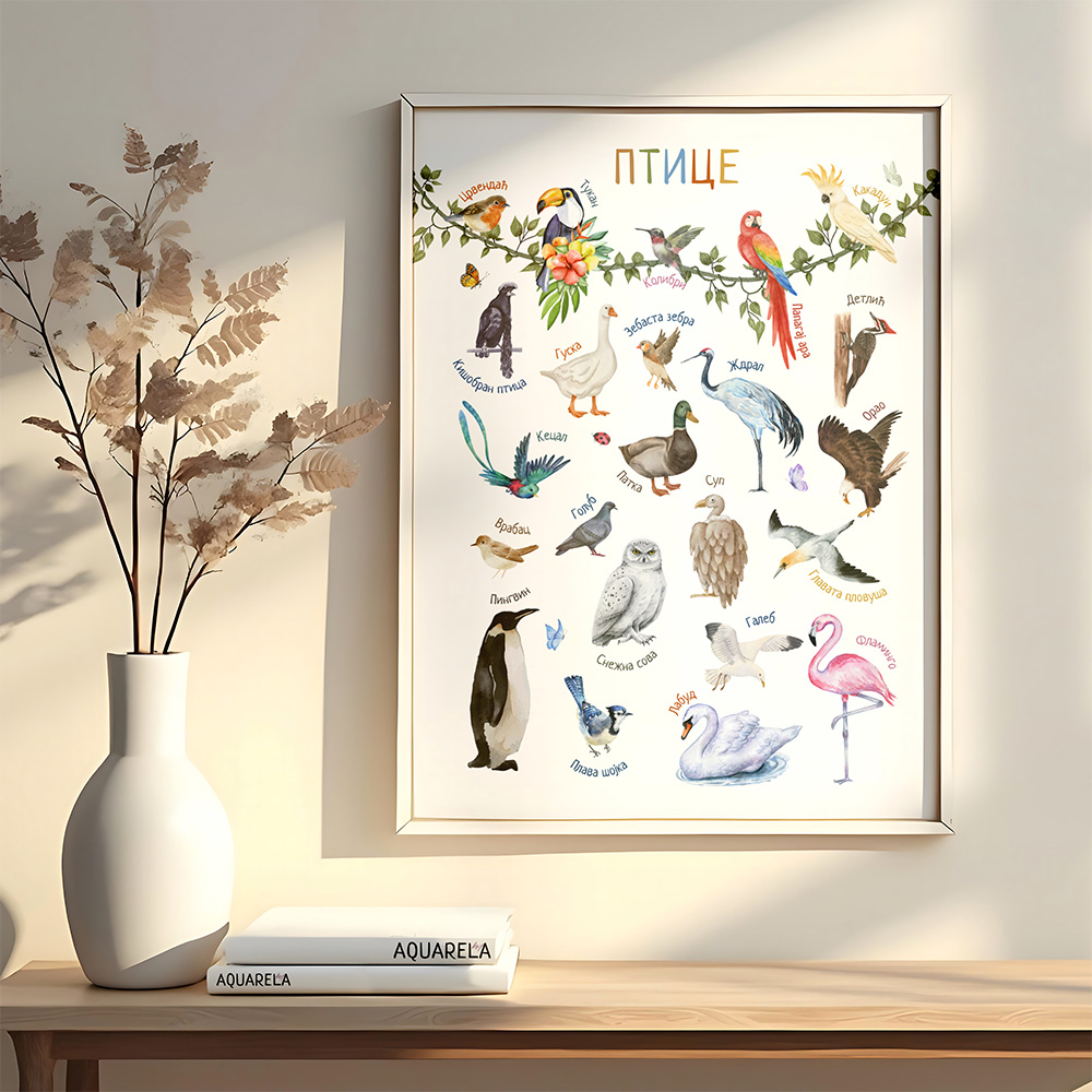Ptice - Edukativni poster - Aquarela